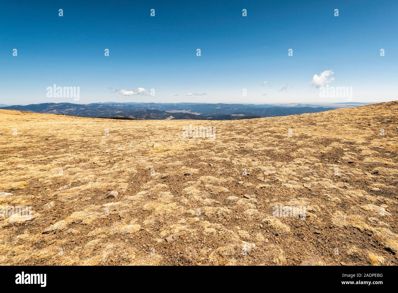 Pecos wilderness hi-res stock photography and images - Alamy