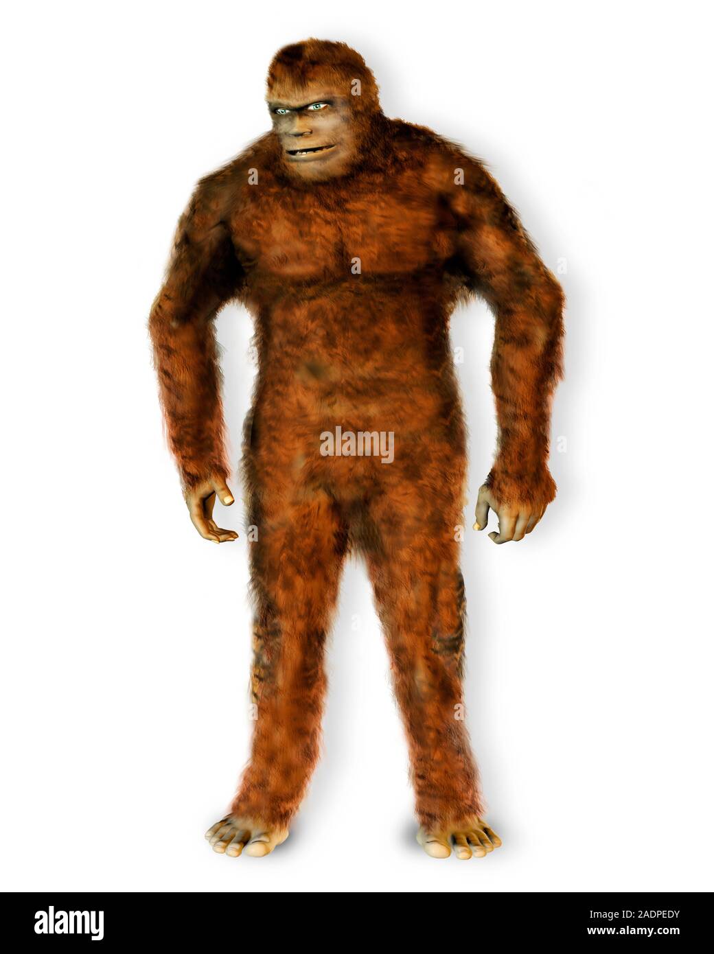 Mythological large ape. Computer artwork of a large ape. In North ...