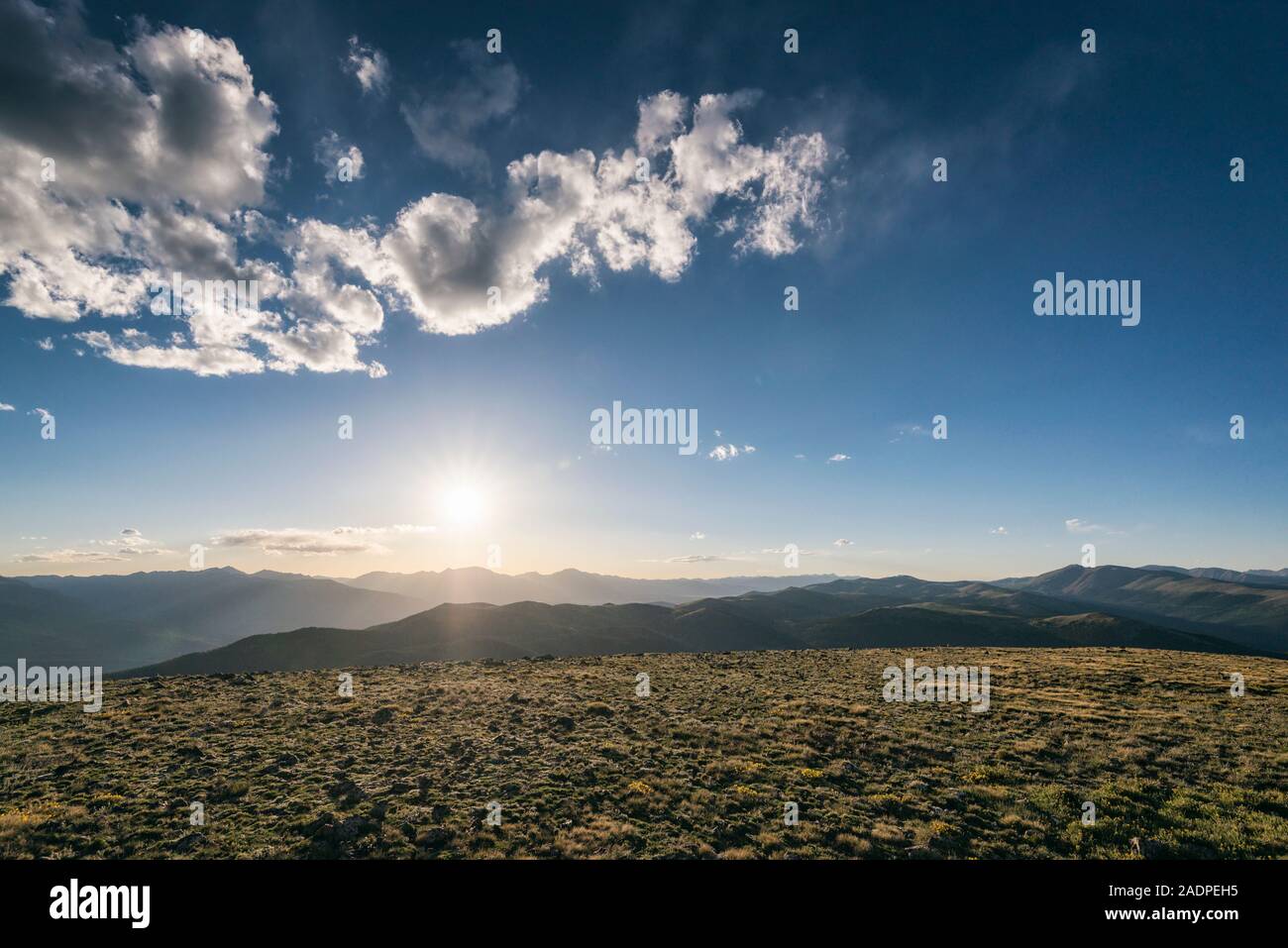 Sunrise in the Buffalo Peaks Wilderness Stock Photo - Alamy