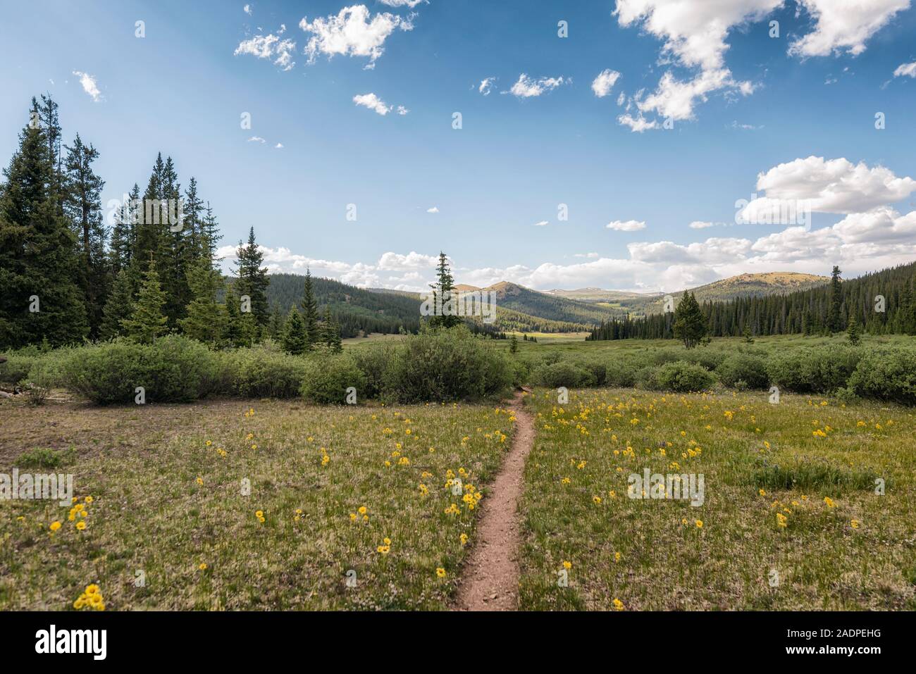 Wilderness trail path nature hi-res stock photography and images - Alamy