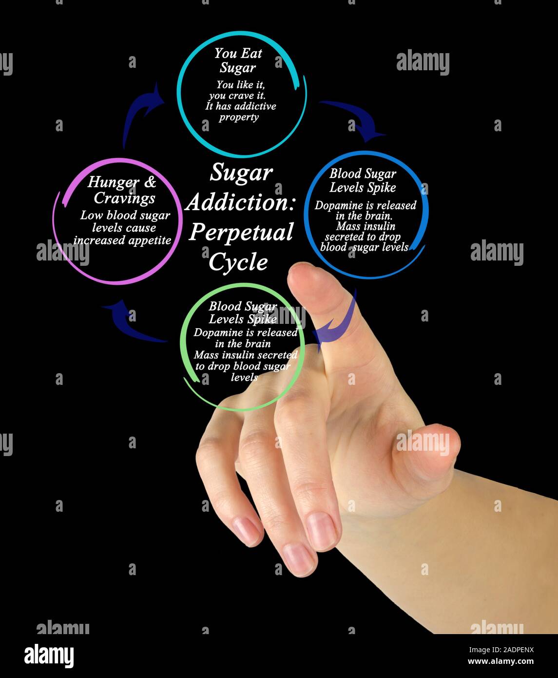 Sugar Addiction: The Perpetual Cycle Stock Photo - Alamy