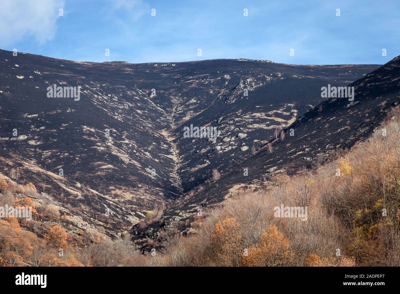 Dark, scorched, burnt ground on the highlands of a mountain, autumn ...