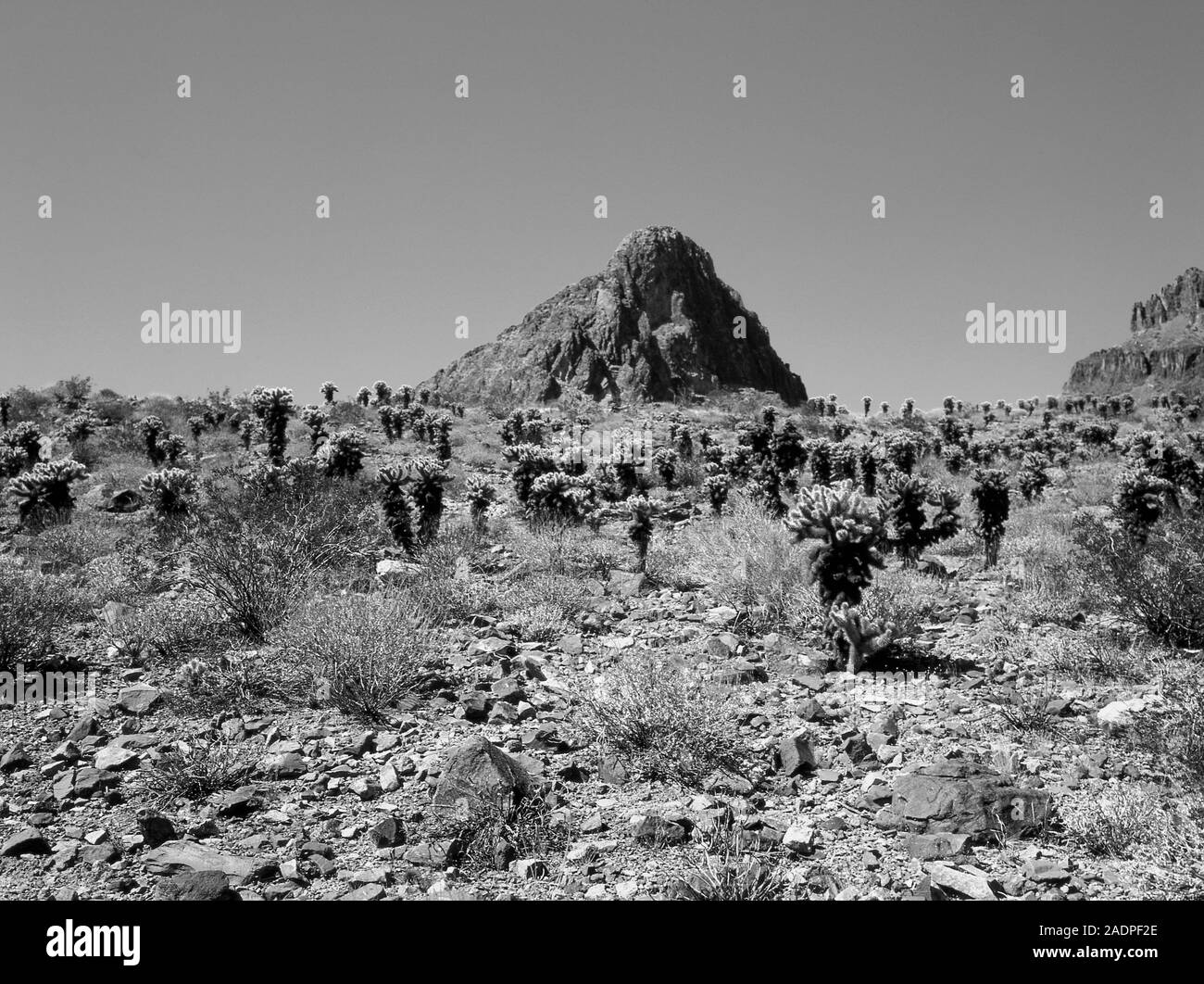 Arid desert route 66 Black and White Stock Photos & Images - Alamy