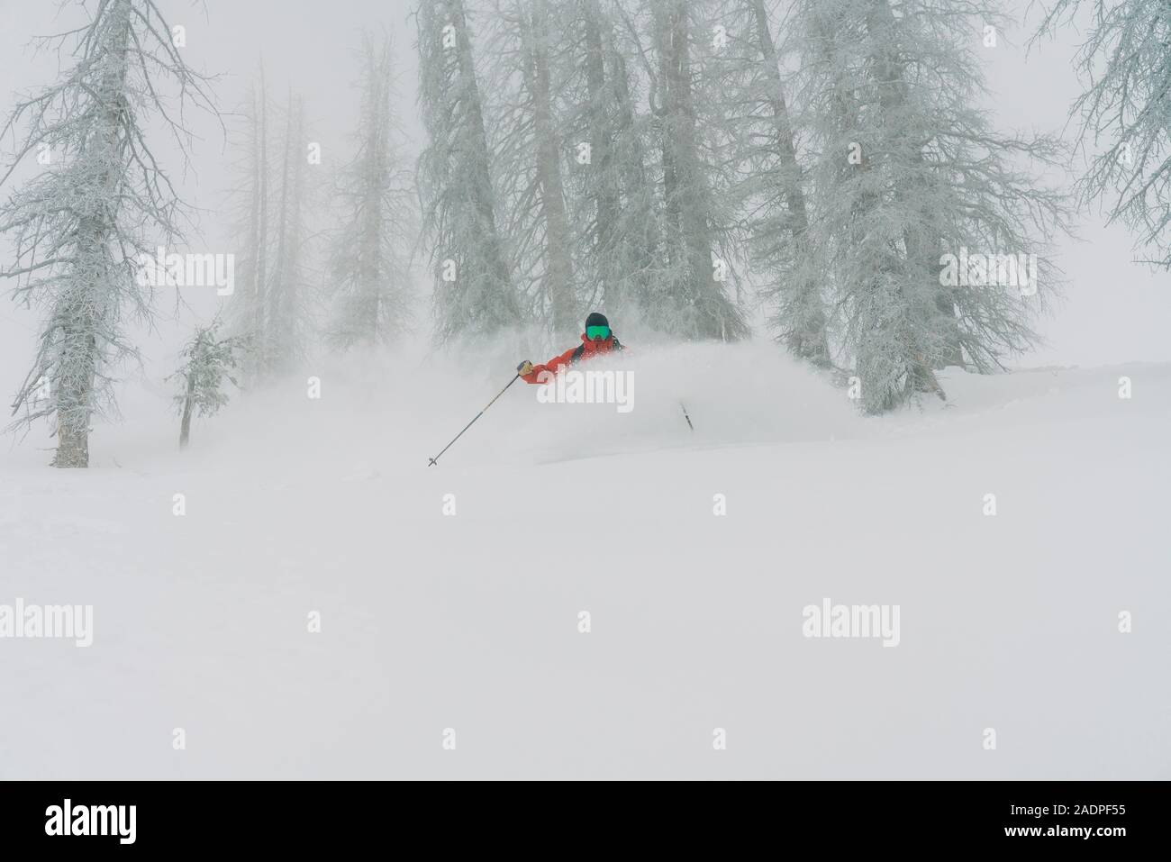 Skier In Powder at Wolf Creek Stock Photo - Alamy