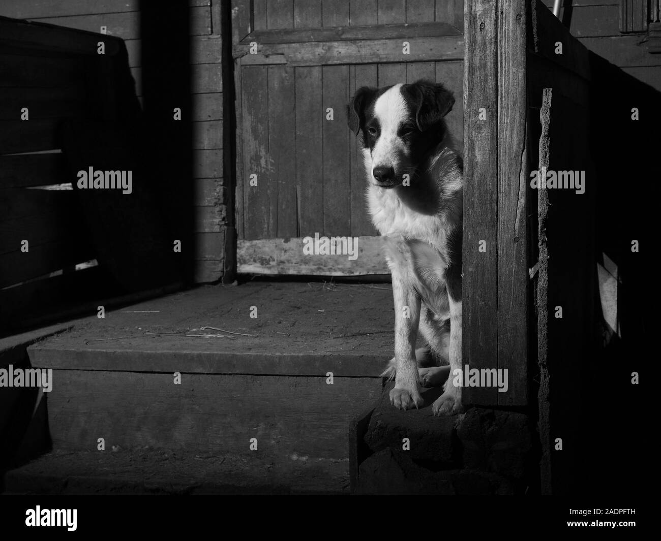 On the threshold Black and White Stock Photos & Images - Alamy