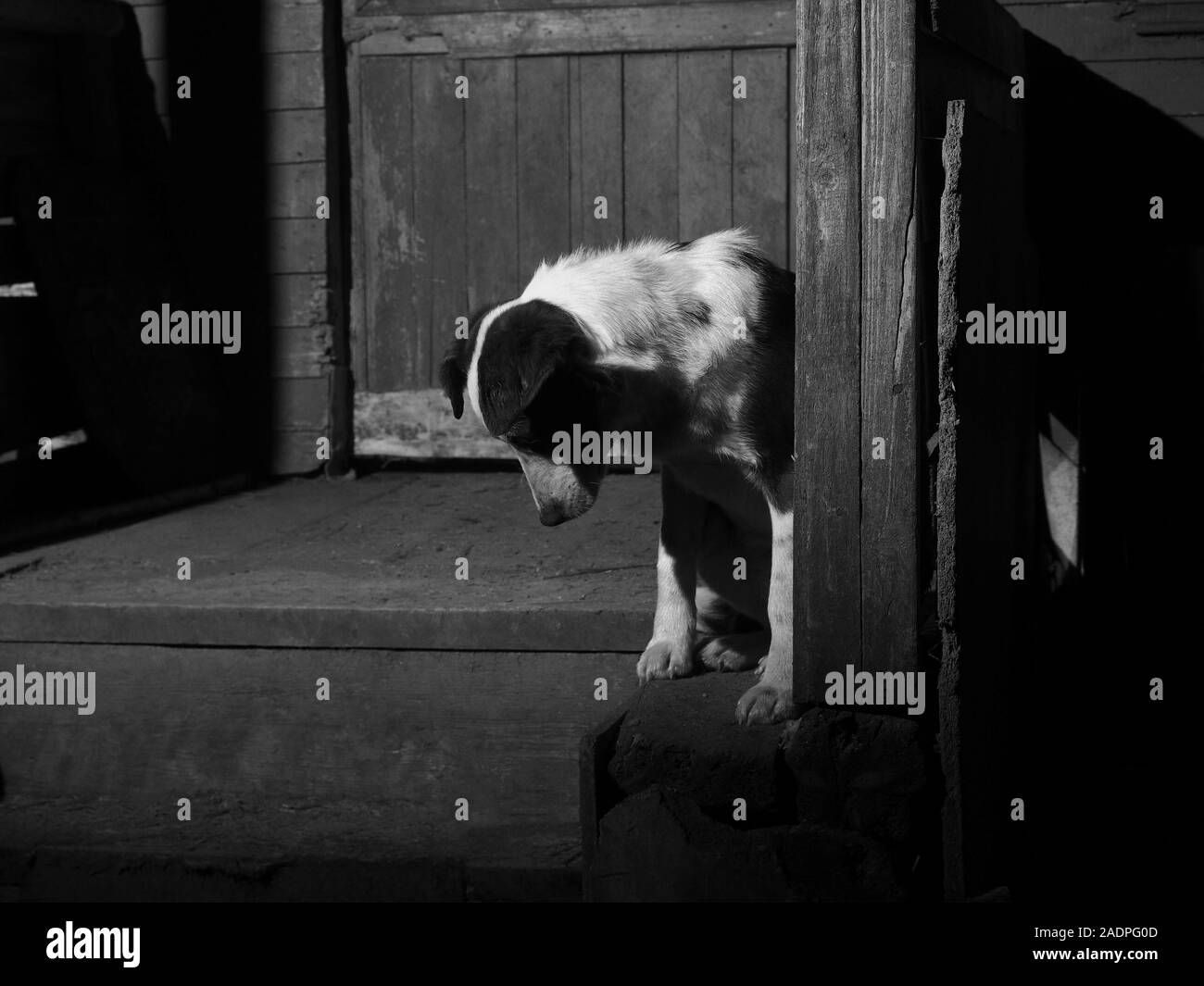 On the threshold Black and White Stock Photos & Images - Alamy