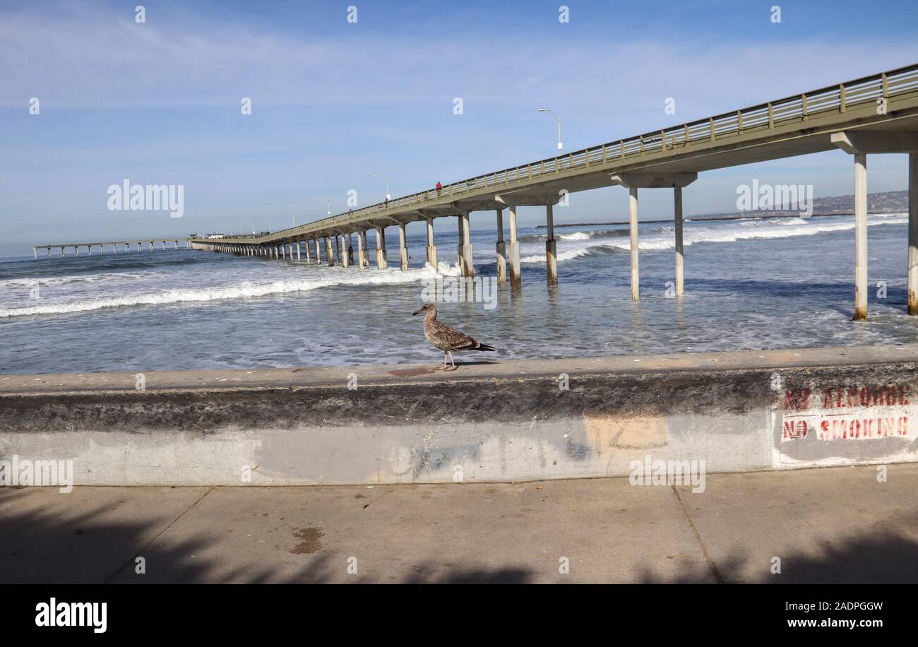 High Tide at Ocean Beach Pier Stock Photo - Alamy