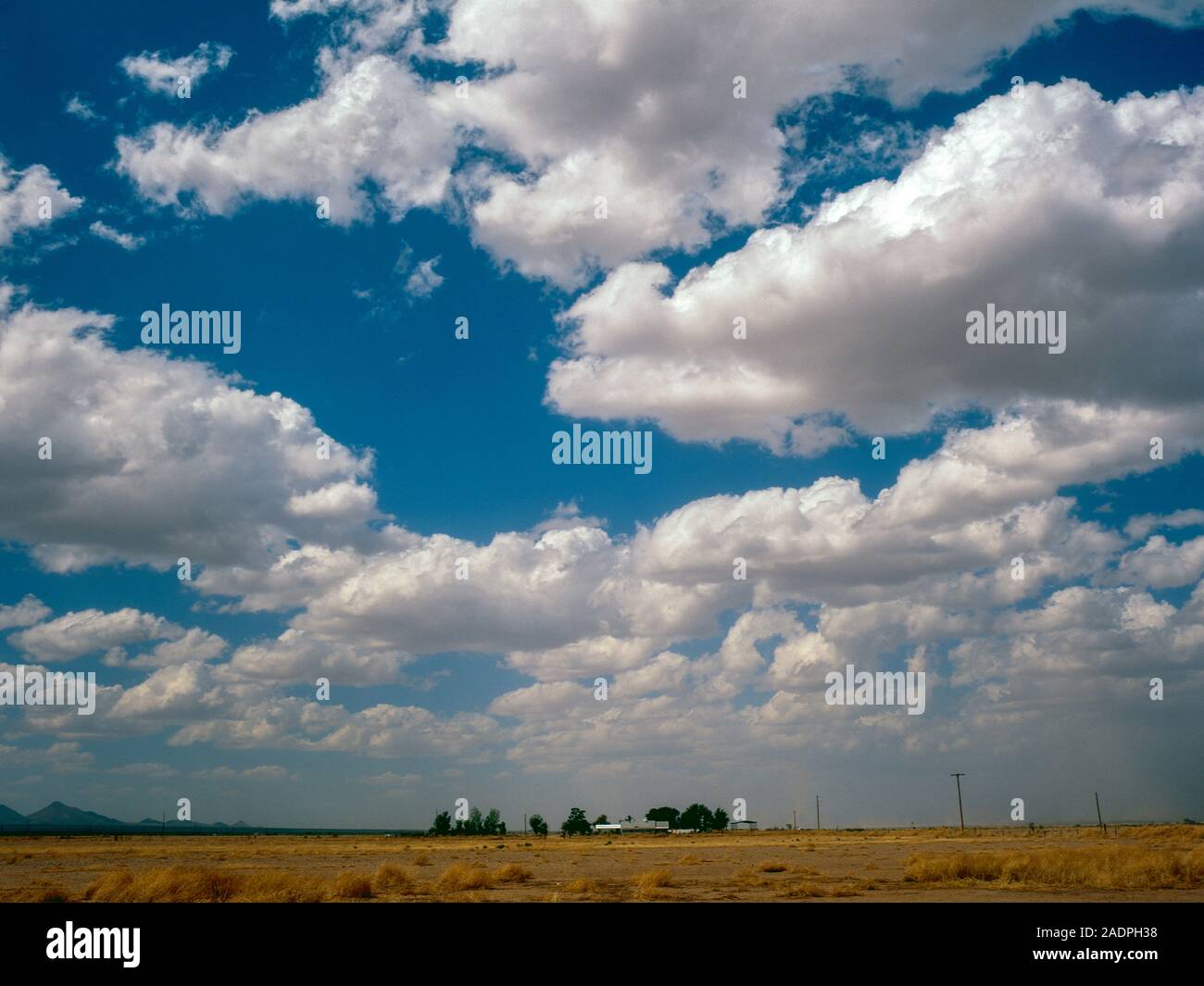 Sulphur springs valley arizona hi-res stock photography and images - Alamy