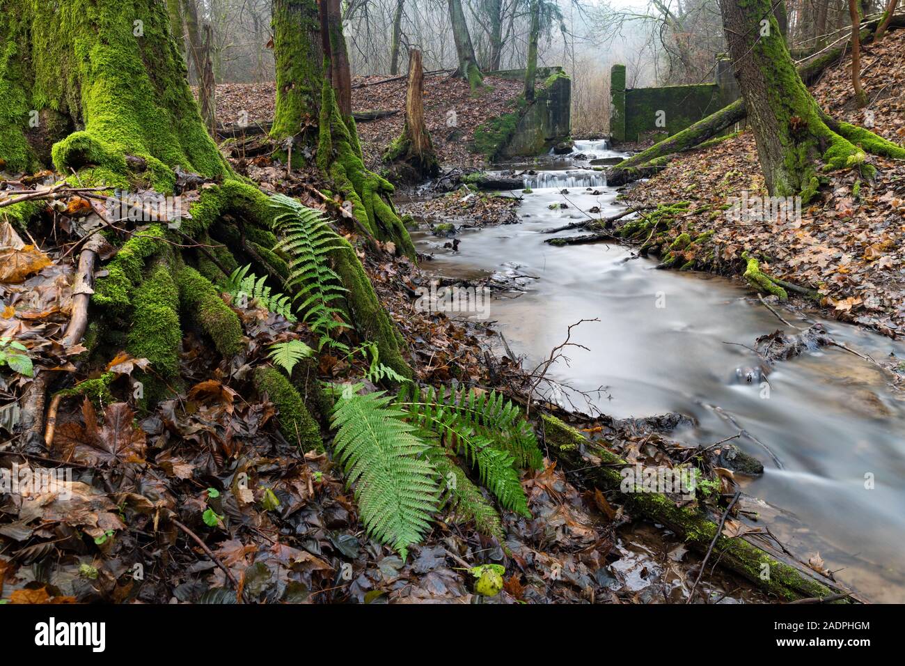 Trickle of water dam hi-res stock photography and images - Alamy
