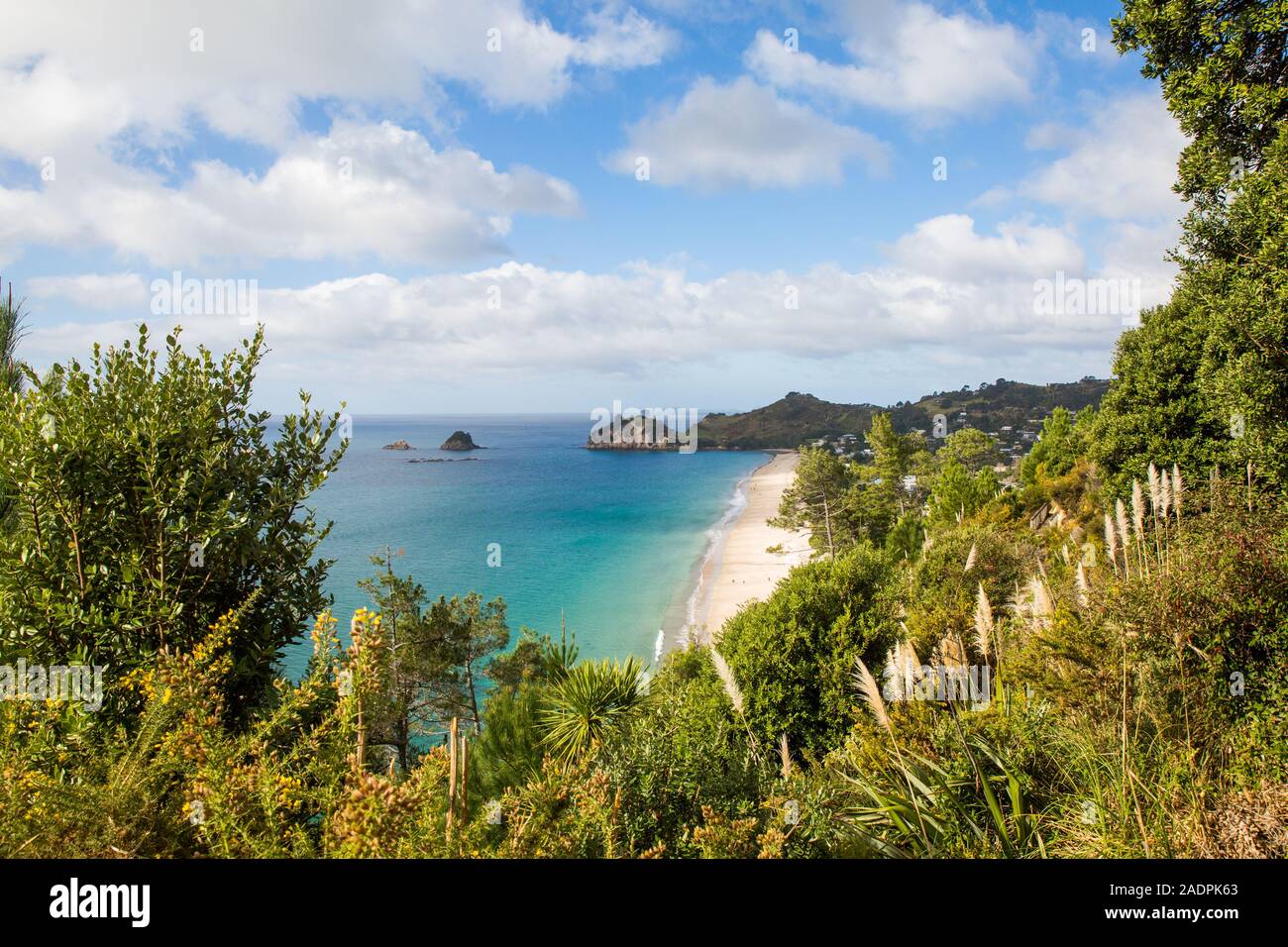 Hahei beach new zealand cathedral hot hi-res stock photography and ...
