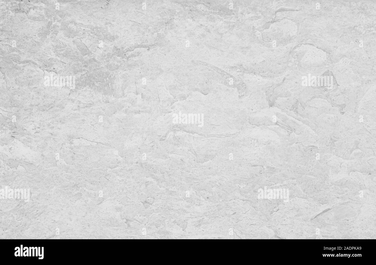 Close-up of a pale stone wall or slab in black and white. High ...