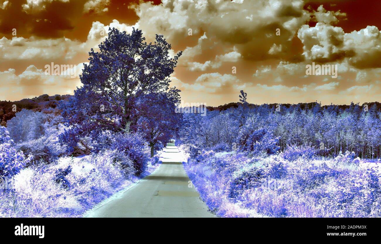 Beautiful infrared landscape with trees and a country road Stock Photo ...