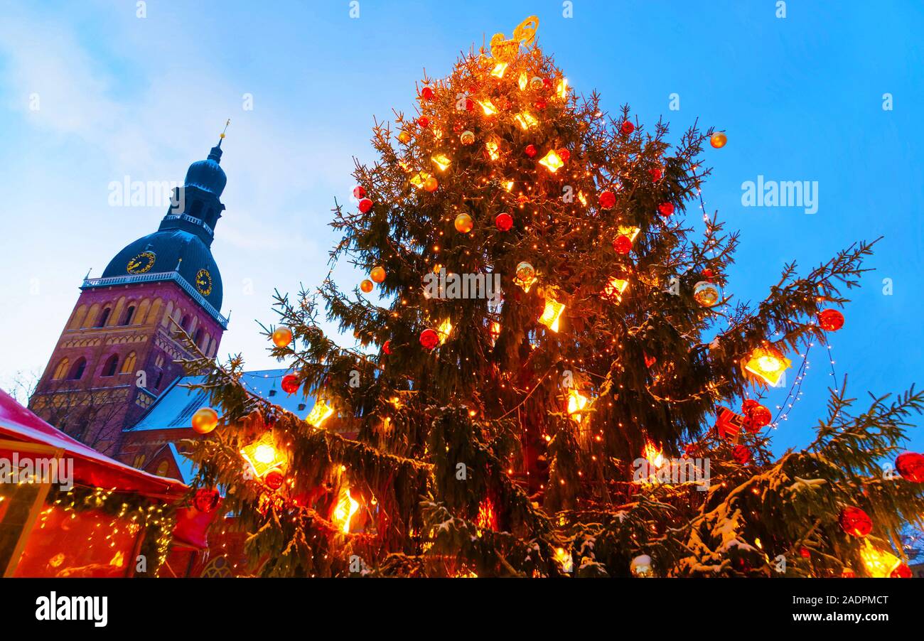 Christmas tree in Riga Christmas market reflex Stock Photo - Alamy