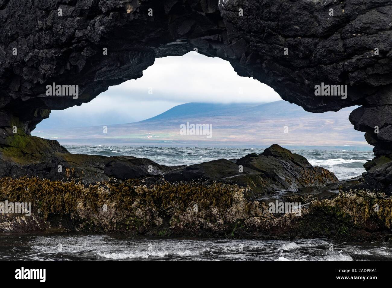 Large rock formation and arches on beach at Hvitserkur, Iceland Stock ...
