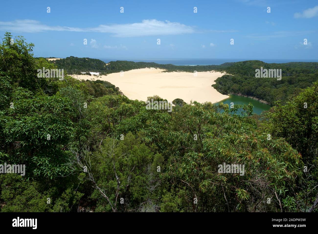 Lake Wabby - Fraser Island Stock Photo - Alamy