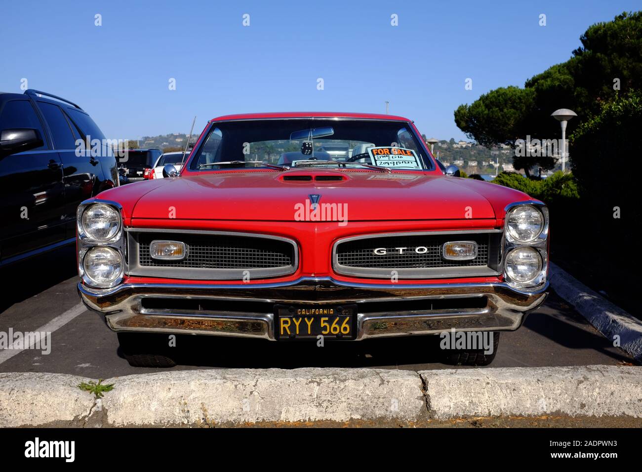 Pontiac Gto High Resolution Stock Photography and Images - Alamy