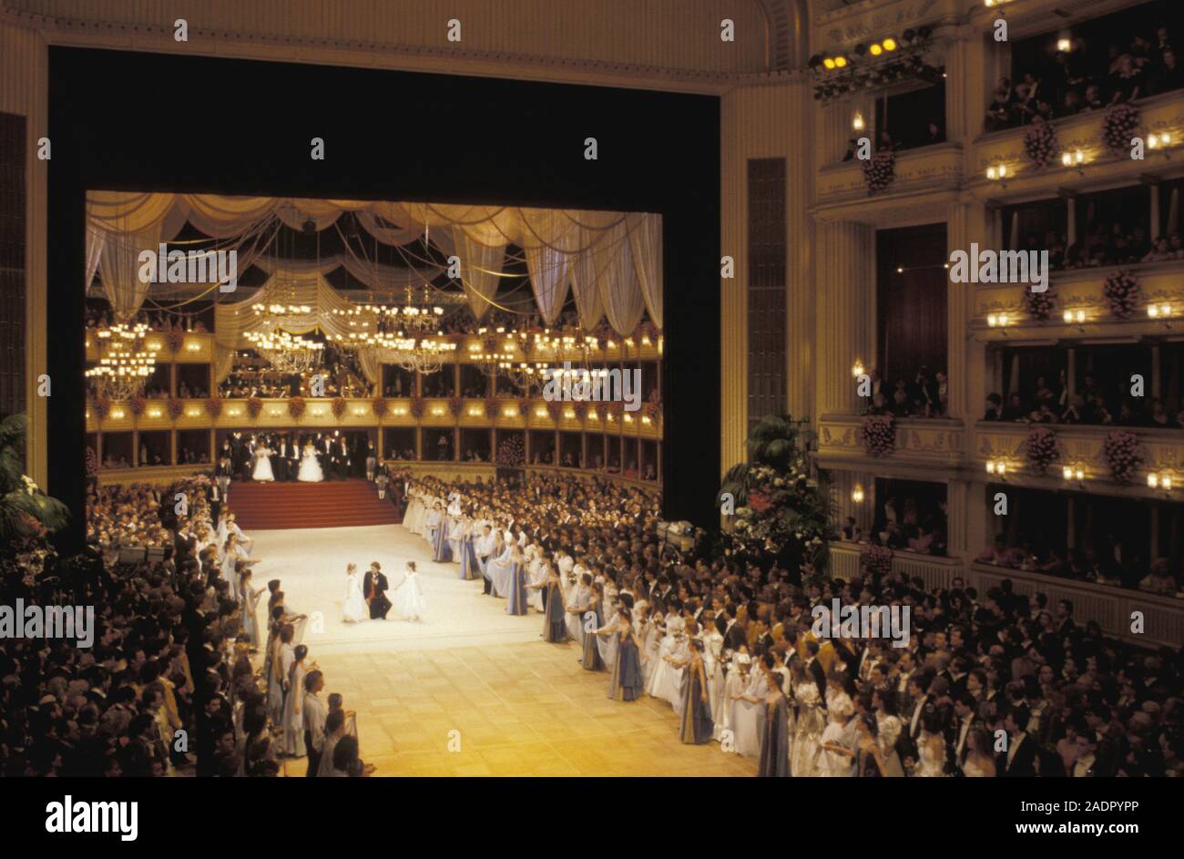 Wien, Opernball, Eröffnung - Vienna, Opera Ball, Opening Stock Photo ...