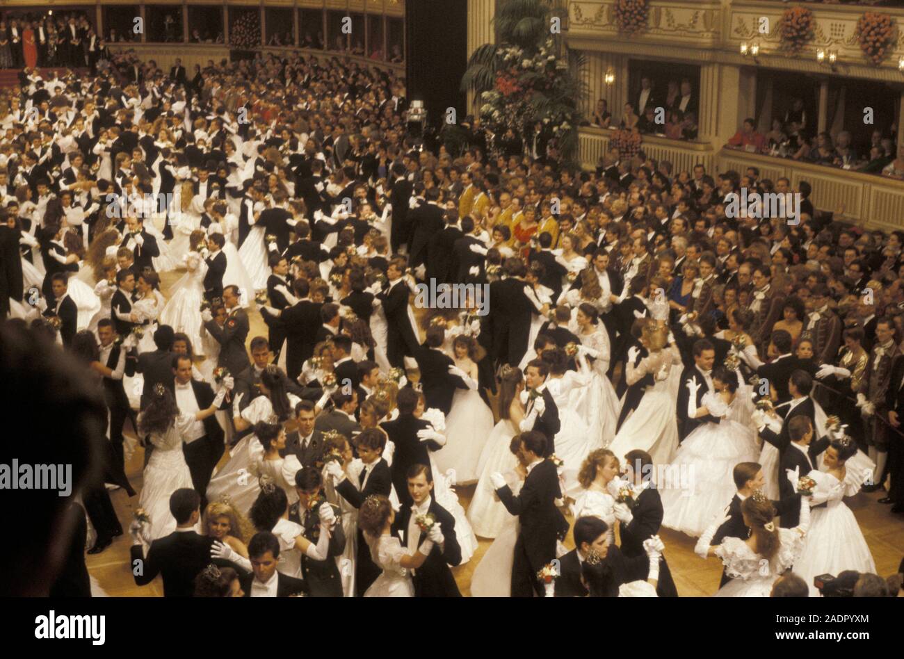 Wien, Opernball, Eröffnung - Vienna, Opera Ball, Opening Stock Photo ...