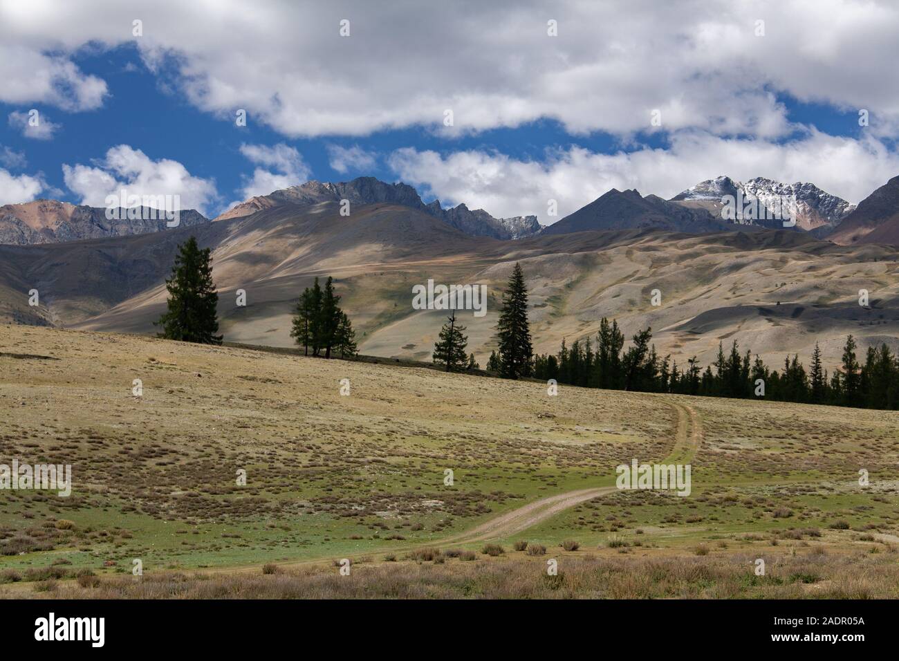 mongolian valley steppe trees and mountains Stock Photo - Alamy