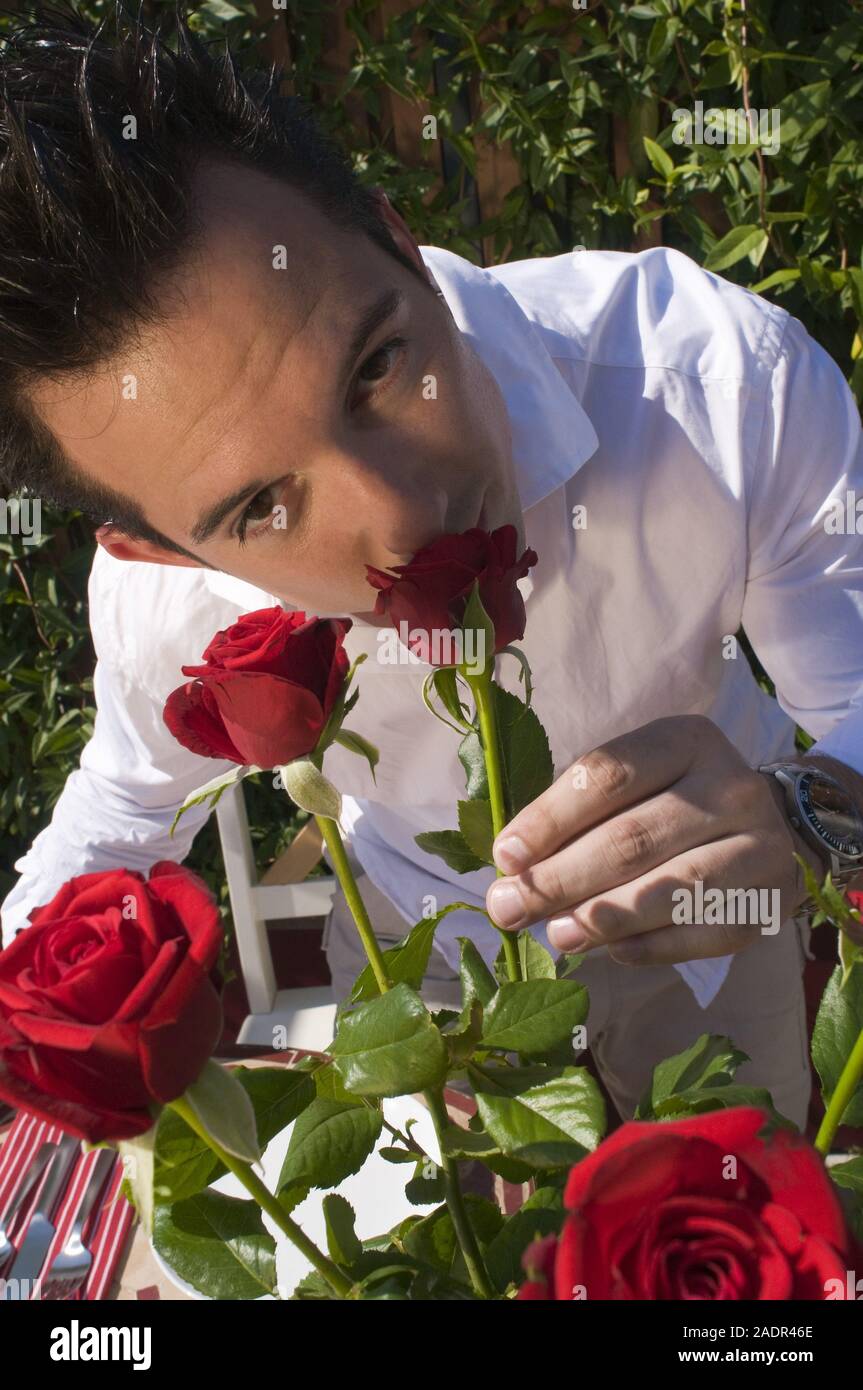 Einzelne rose hi-res stock photography and images - Alamy