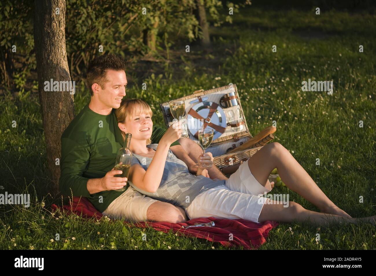 Picknickkorb hi-res stock photography and images - Alamy