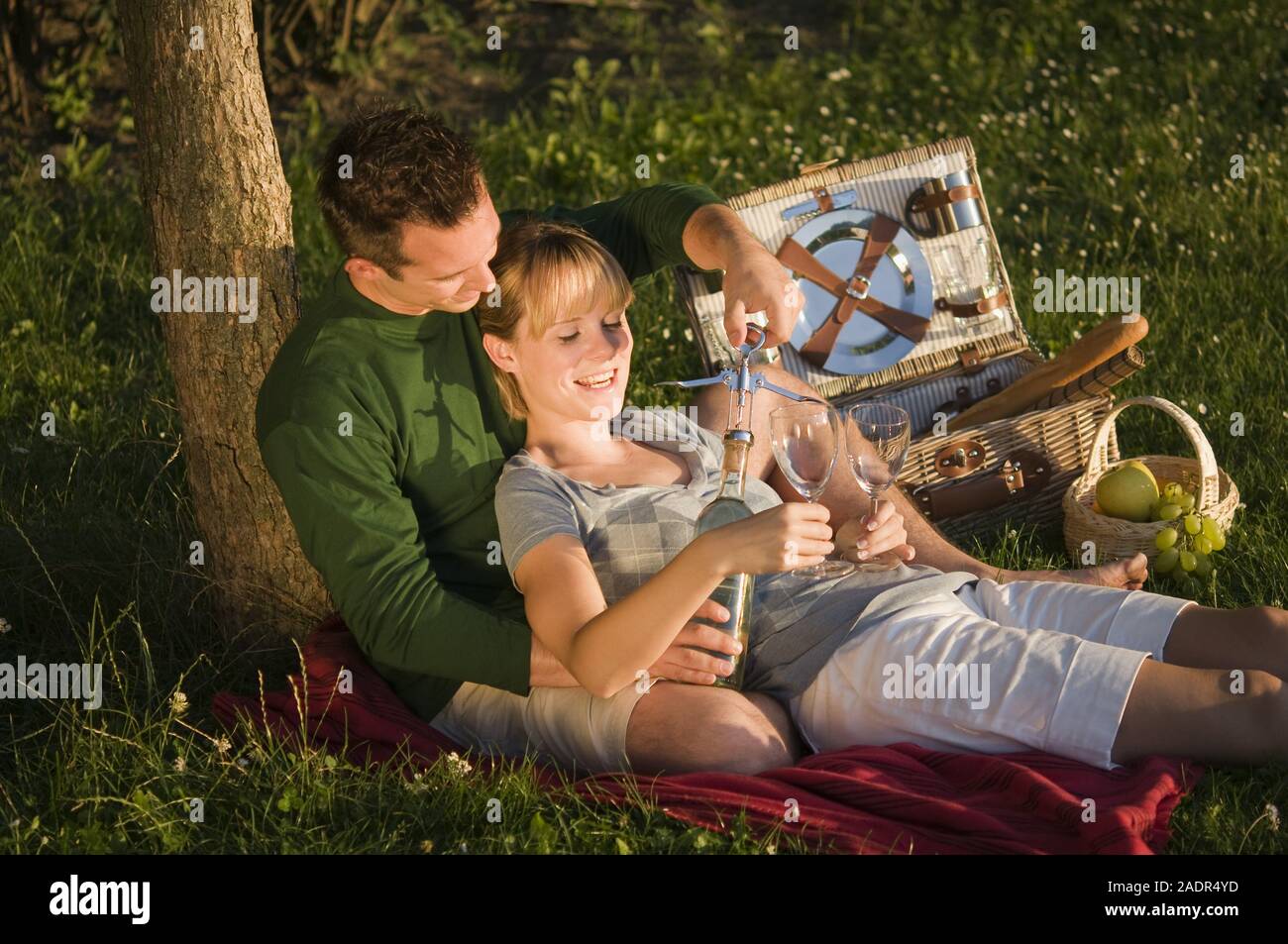Picknickkorb hi-res stock photography and images - Alamy
