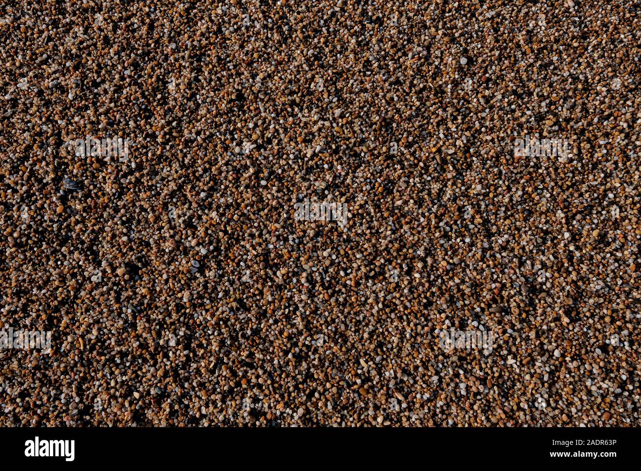 detailed photo of pebbles on the beach Stock Photo - Alamy