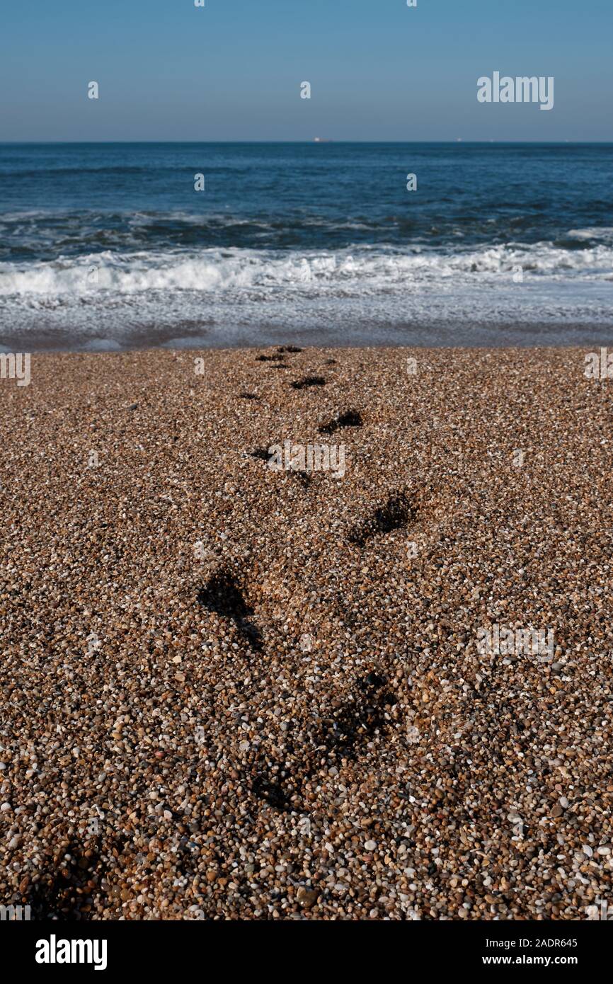 Pebbles steps hi-res stock photography and images - Alamy