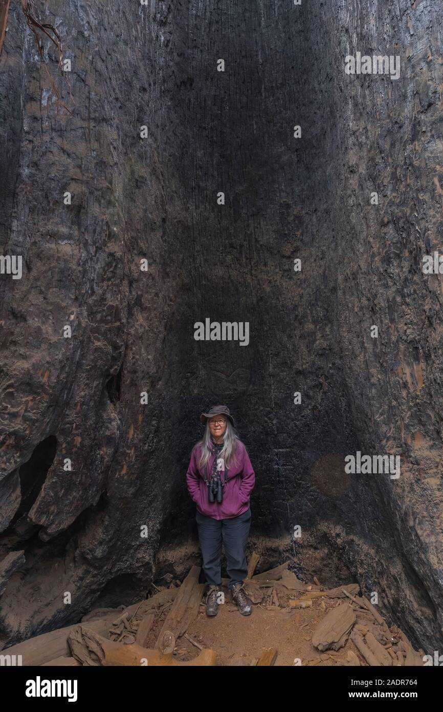 Karen Rentz at base of a burned Giant Sequoia, Sequoiadendron giganteum ...