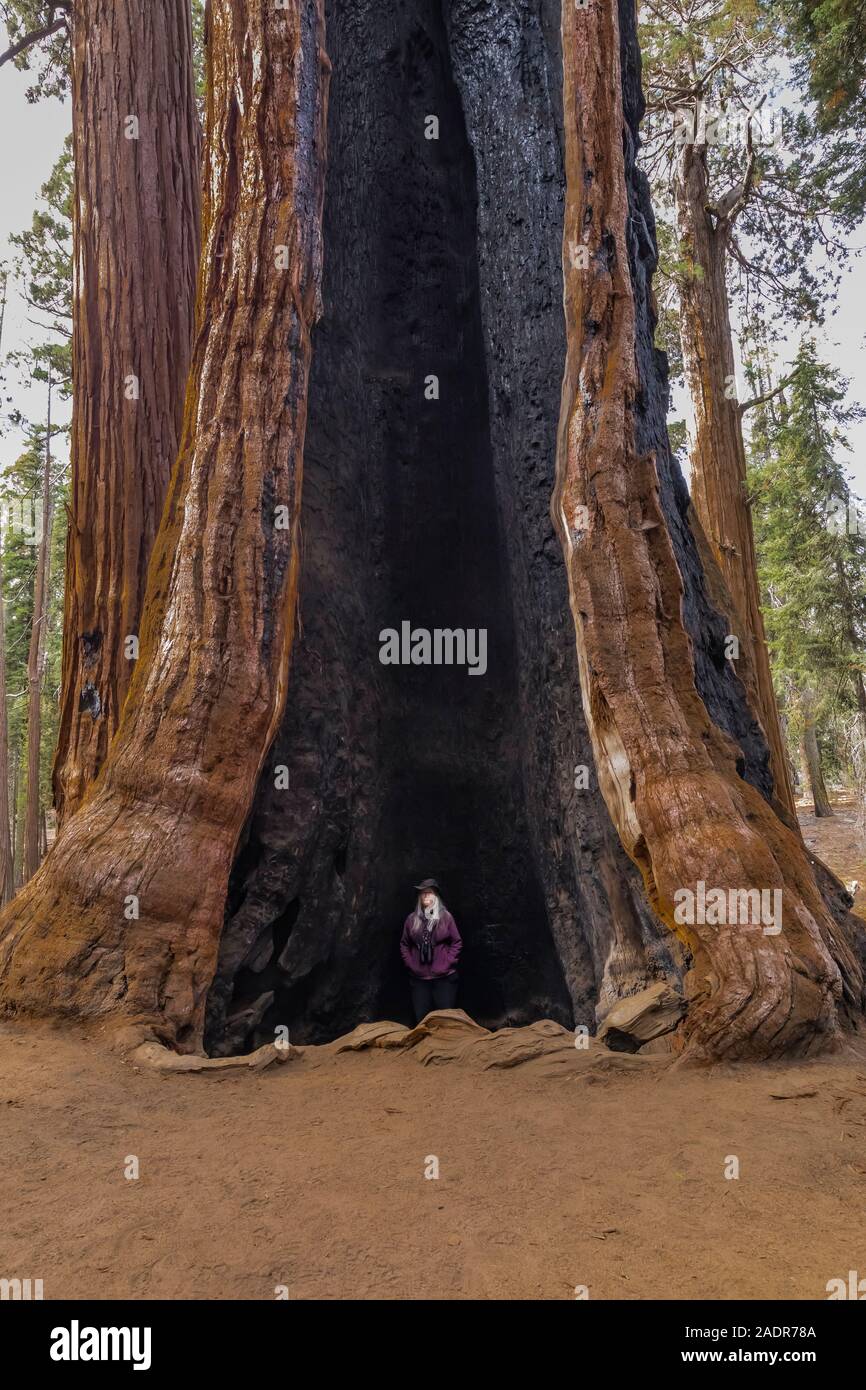 Karen sierra hi-res stock photography and images - Alamy