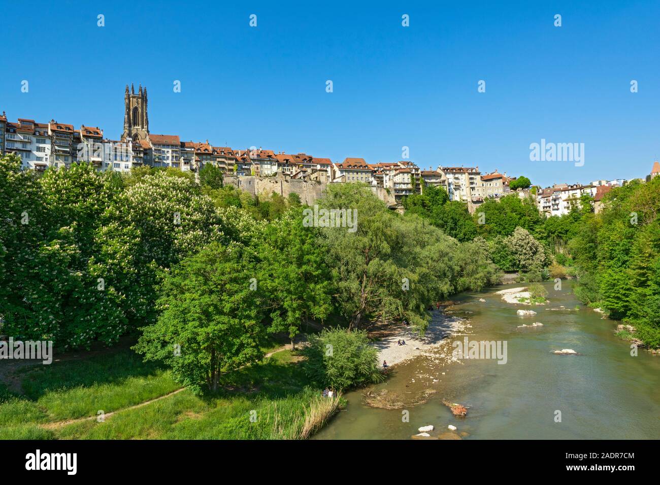 Switzerland, Fribourg, city view, Sarine River, St. Nicholas Cathedral ...
