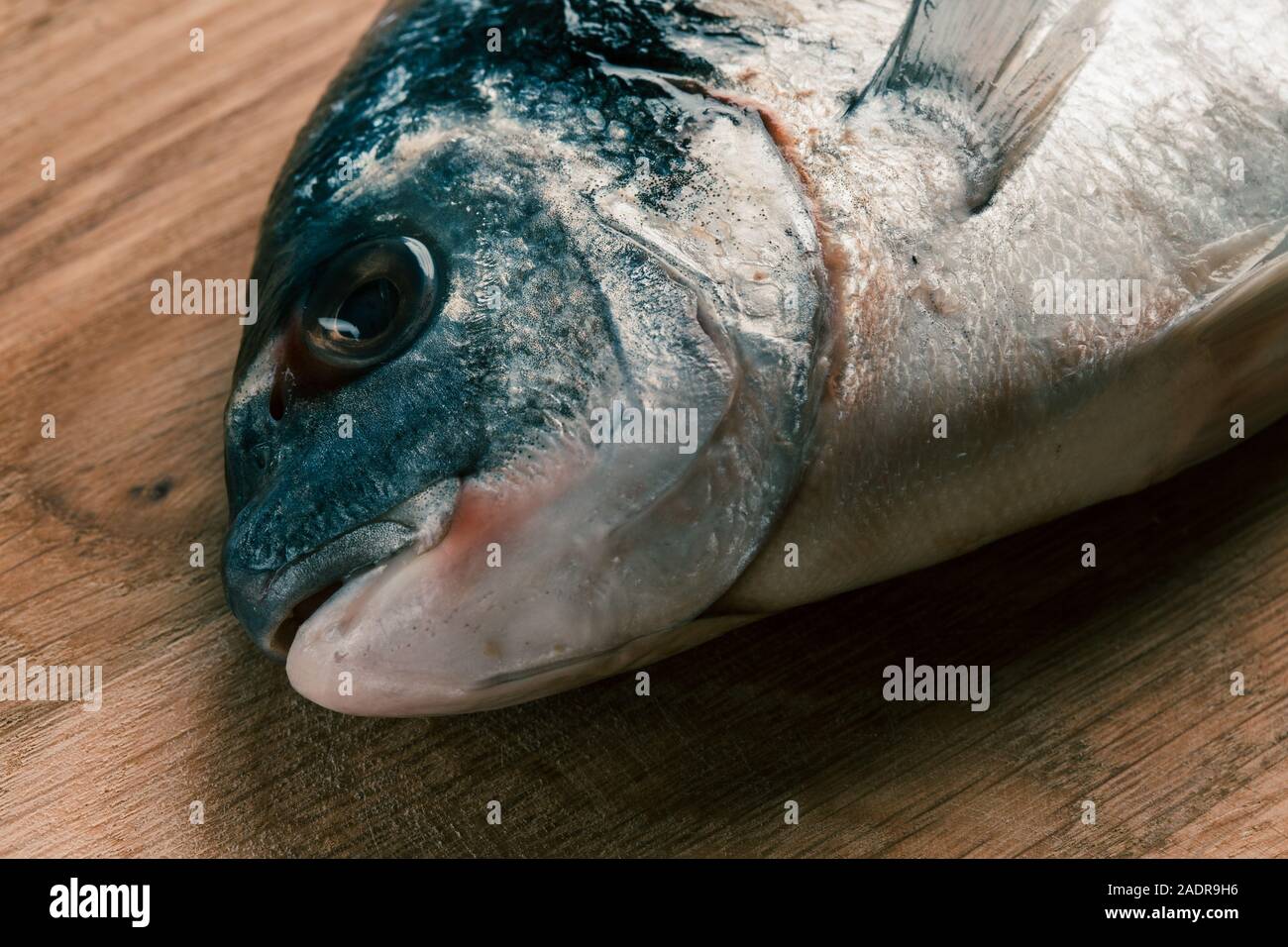 Cutting head of fish hi-res stock photography and images - Alamy