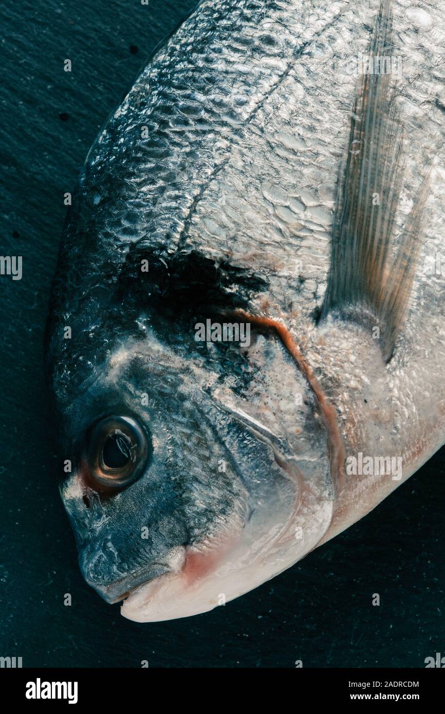 Shiny scales hi-res stock photography and images - Alamy
