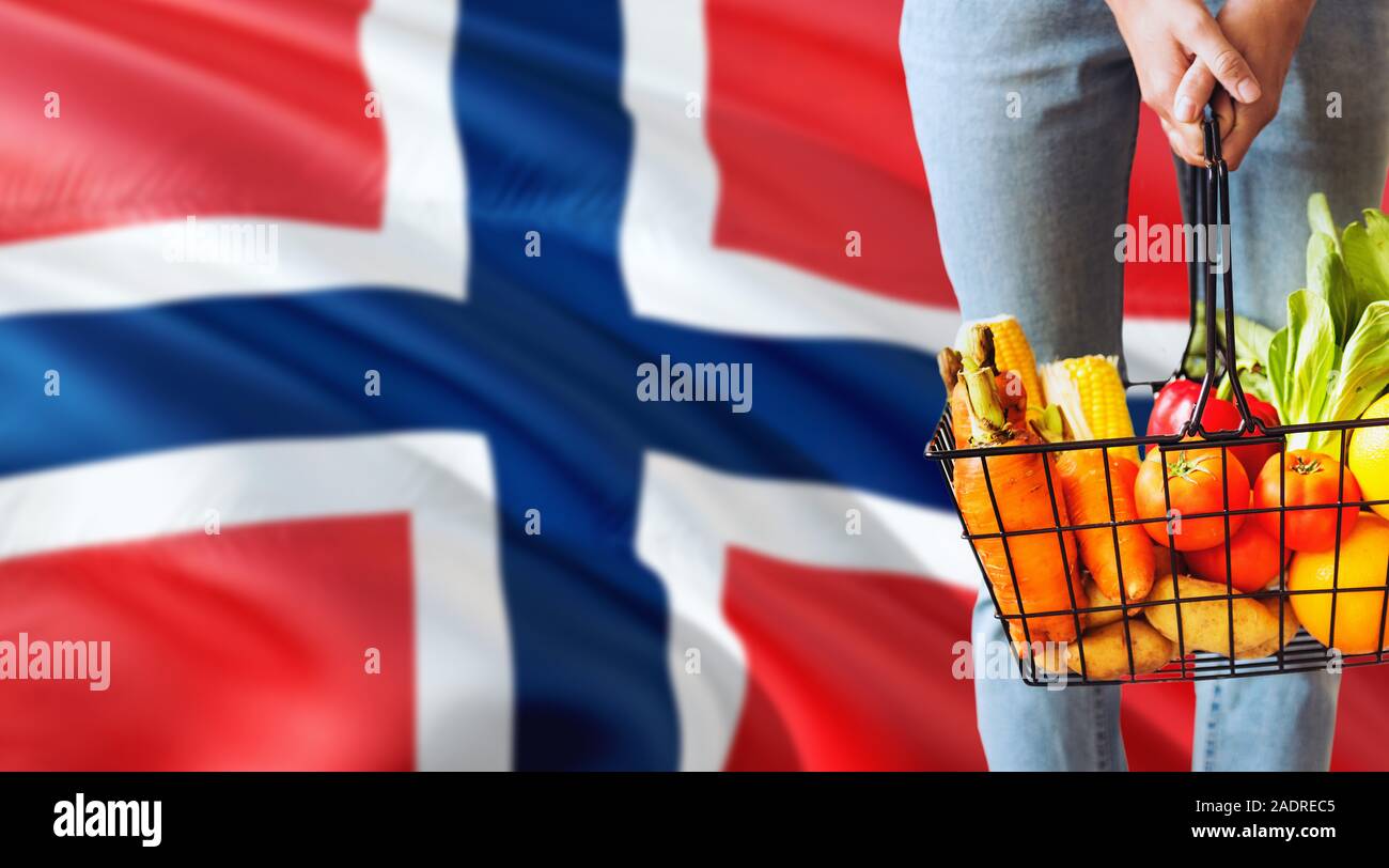 Woman is holding supermarket basket, Norway waving flag background ...