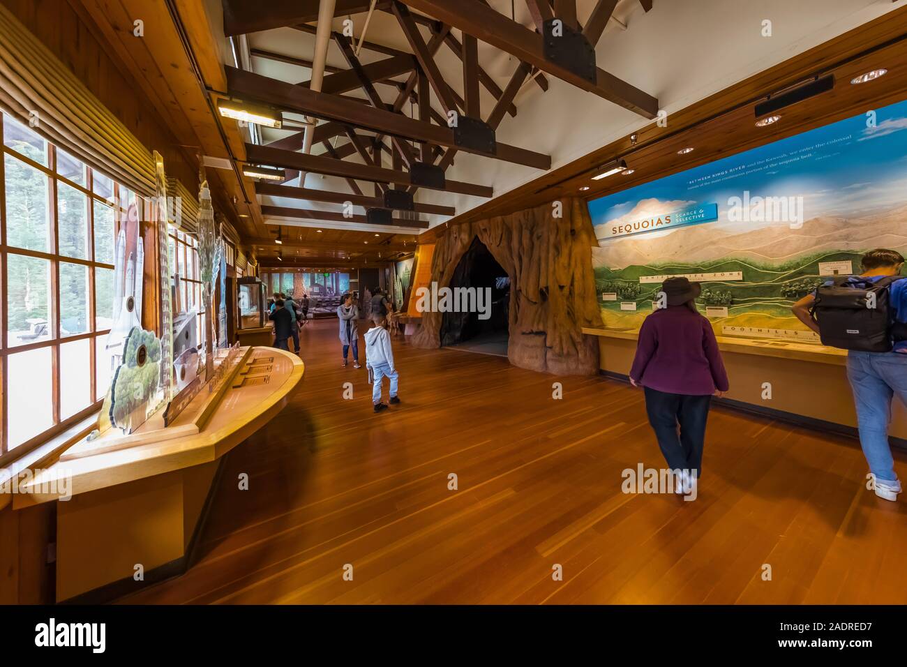 Giant Forest Museum exhibits about fires and forest ecology in Sequoia ...