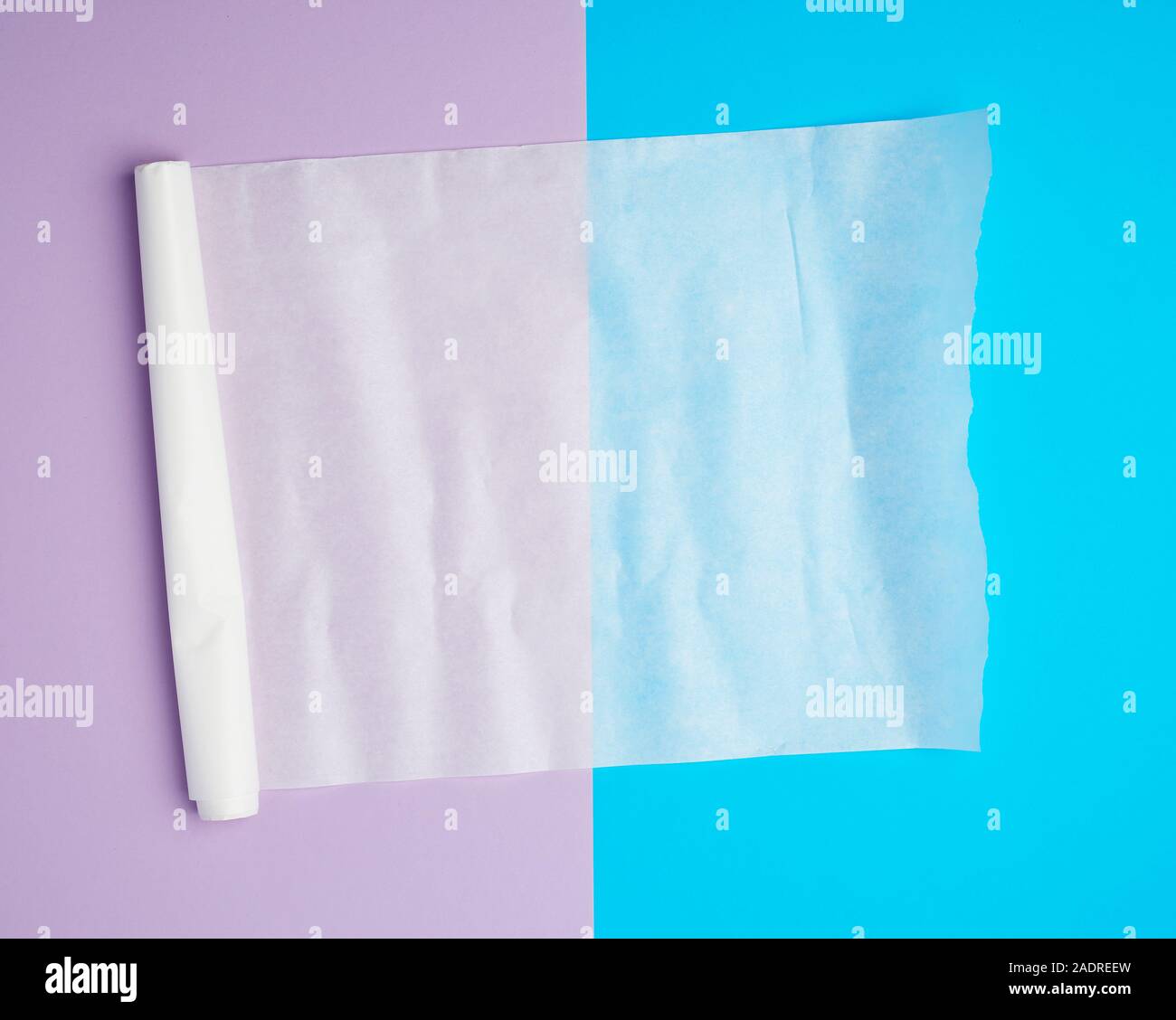 unwound white parchment baking paper on a blue purple background, top ...