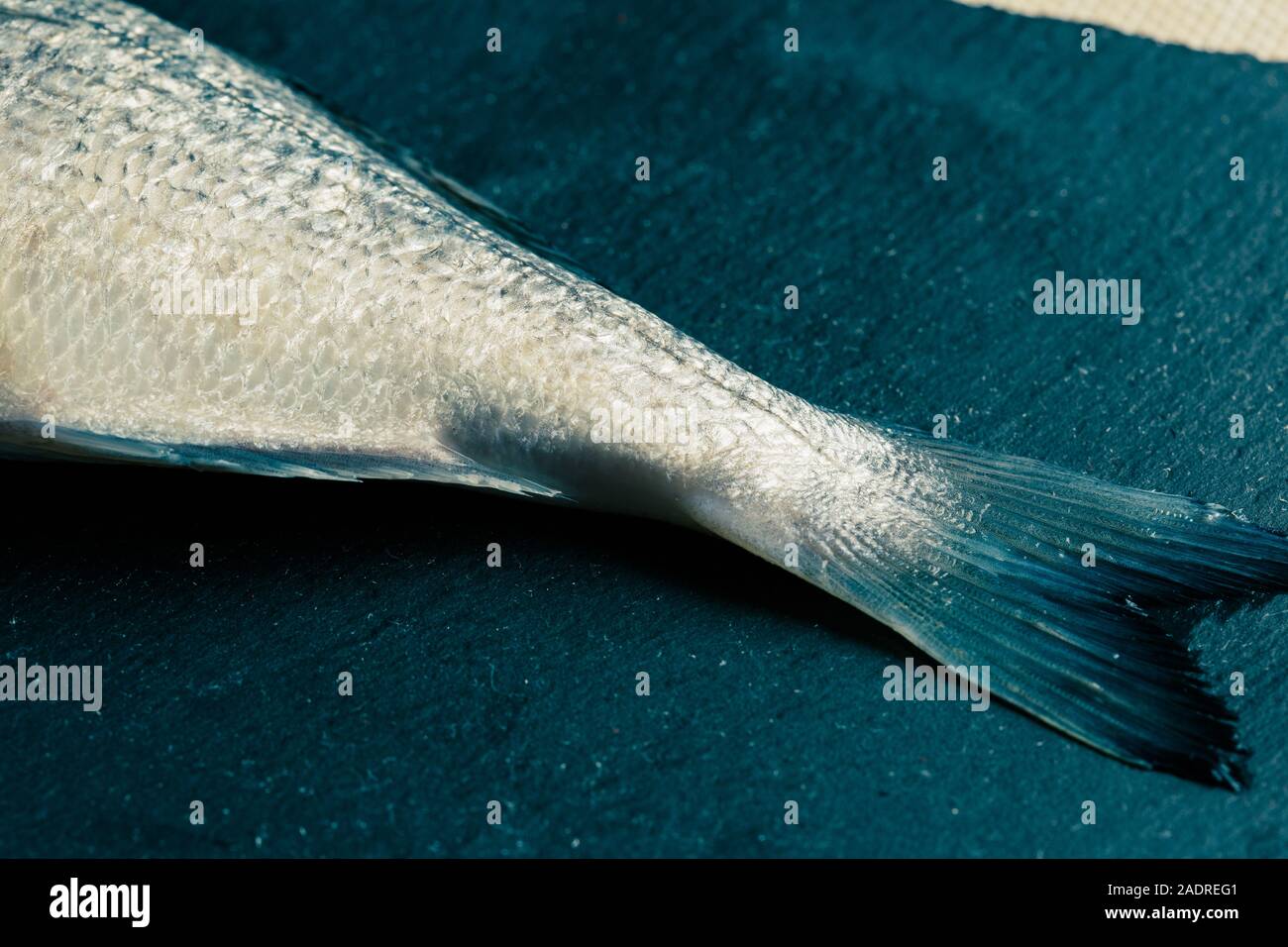 Black slate background with beautiful raw fish tail Stock Photo - Alamy