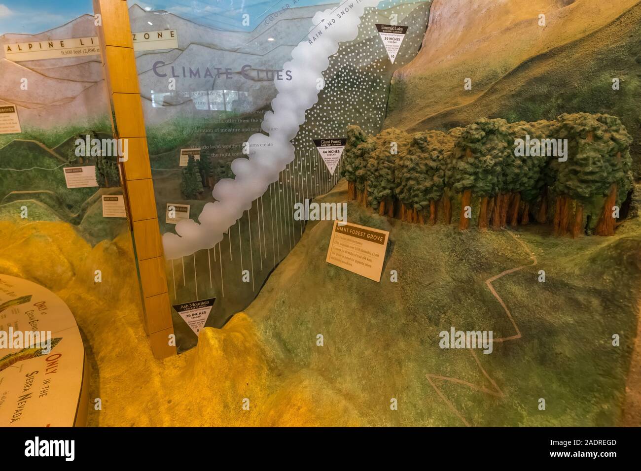 Giant Forest Museum exhibits about fires and forest ecology in Sequoia ...