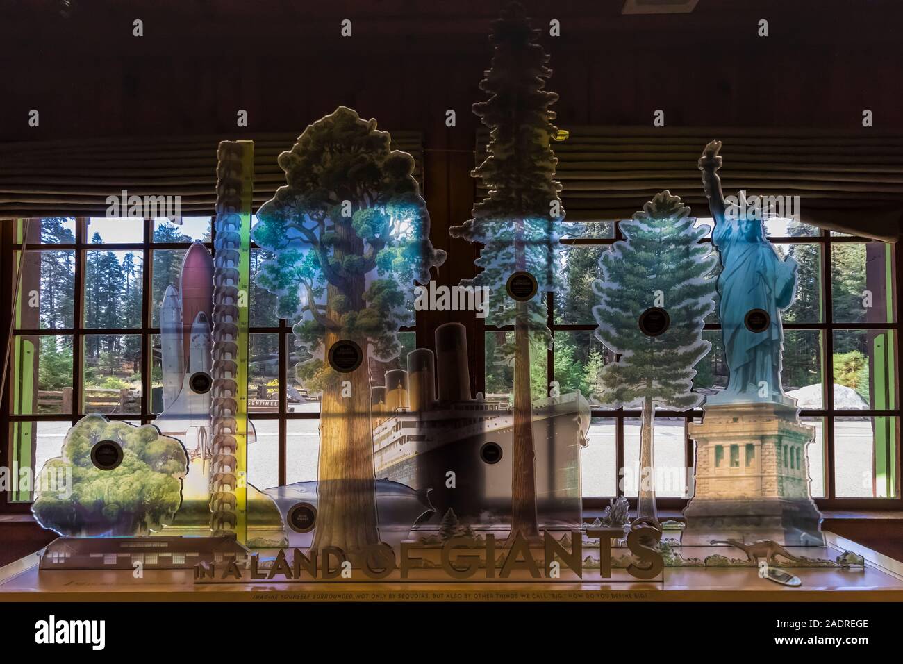 Giant Forest Museum exhibit showing sizes of trees vs. Statue of ...