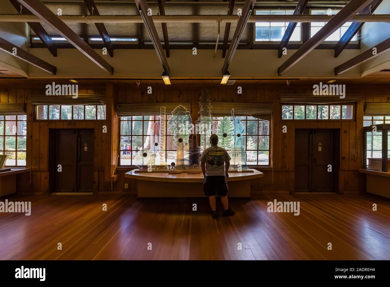 Giant Forest Museum exhibits about fires and forest ecology in Sequoia ...