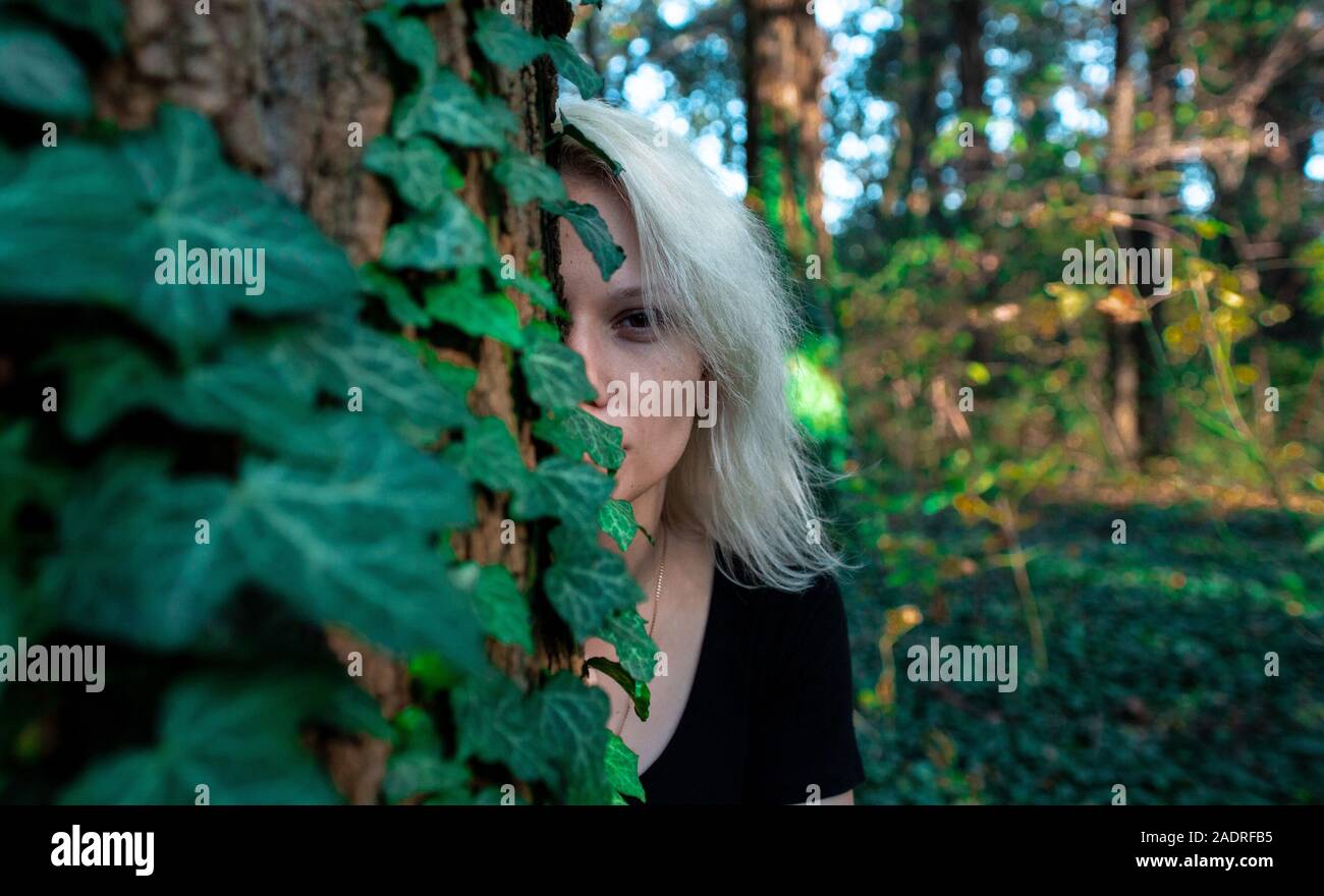 Vine clipart hi-res stock photography and images - Alamy