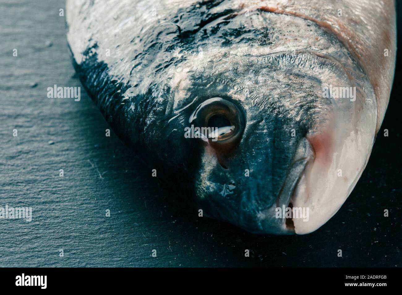 Ingredient fish hi-res stock photography and images - Alamy