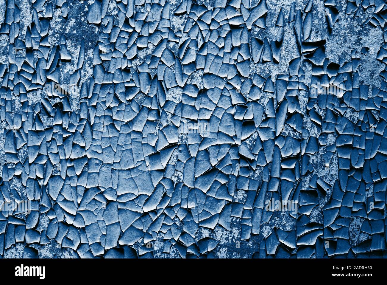 Craquelure of classic blue paint texture. Trendy color of 2020 Stock ...
