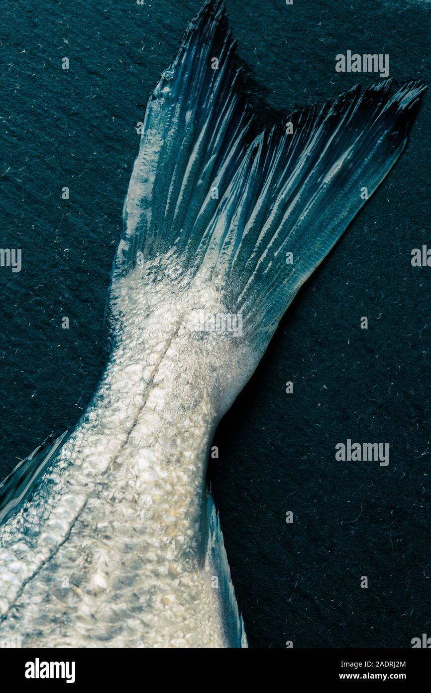 Diagonal scale hi-res stock photography and images - Alamy