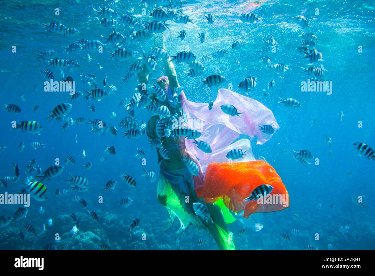 Mermaid reef hi-res stock photography and images - Alamy
