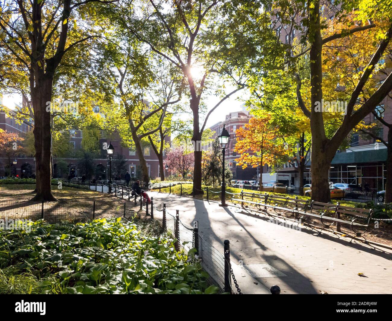 Sunlight shines through the colorful fall trees in Washington Square ...