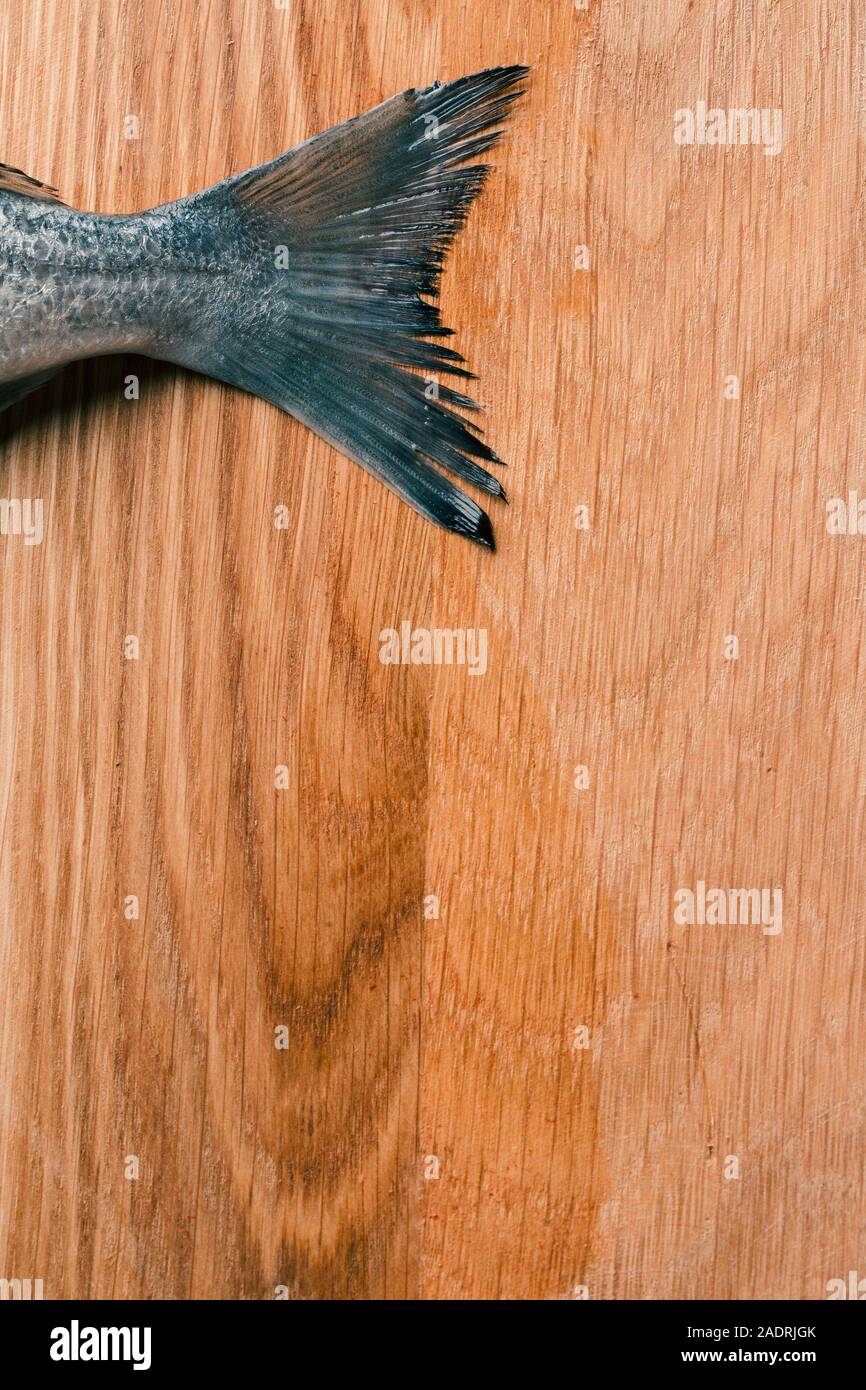 Cutting tail hi-res stock photography and images - Alamy