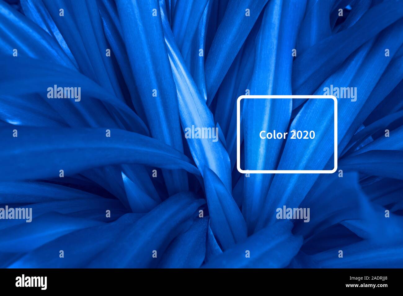 Beautiful dark background of green grass Stock Photo - Alamy