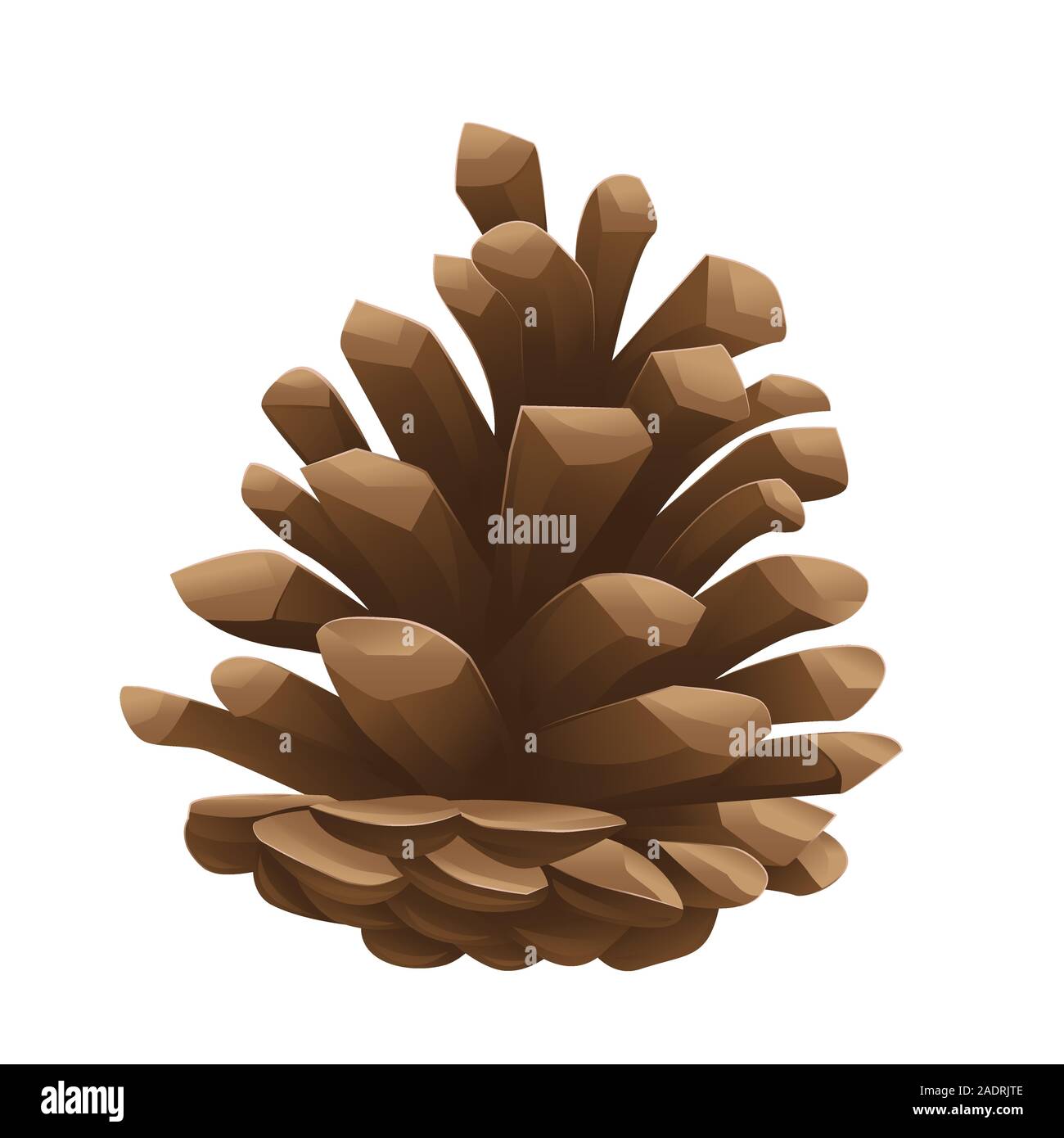 Pine cone on white isolated background. Vector image. Design element ...