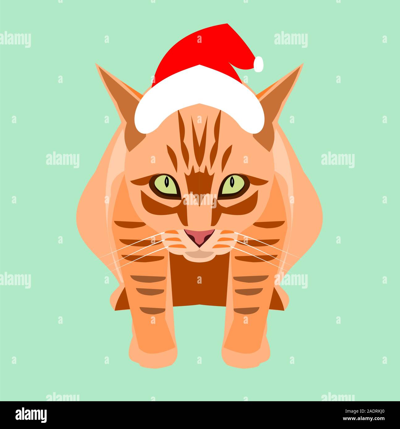 Orange color tabby cat wearing a Santa Claus hat on green background ...
